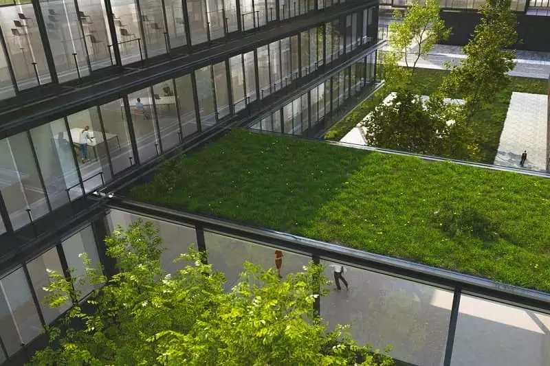 Czy zielone dachy pomagają w walce ze smogiem: w jaki sposób?
